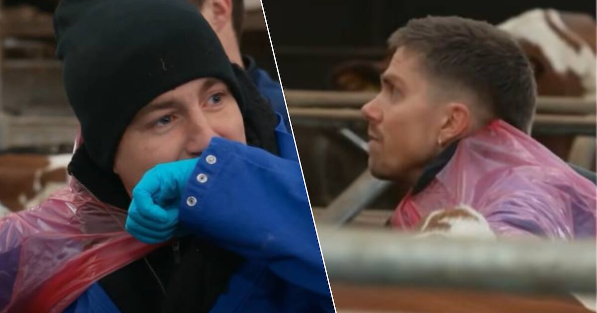 André Hazes en ‘Ik ga zwemmen’-zanger Mart Hoogkamer onder vuur nadat ...