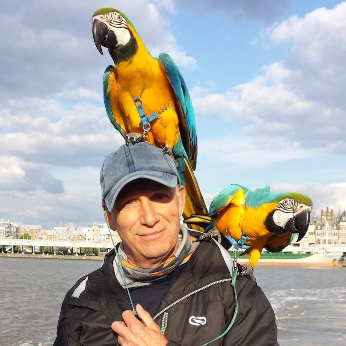 Jager die ara Rambo uit de lucht schoot vrijgesproken: “Dit is een ...