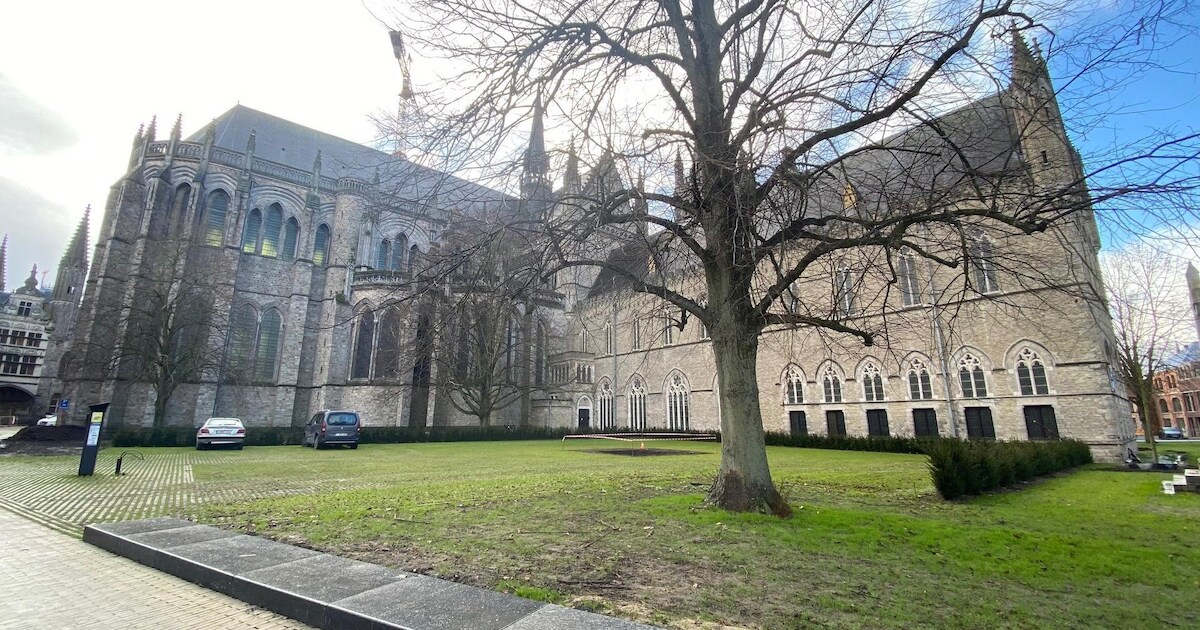 Nieuwe parking achter de Sint-Maartenskathedraal geopend: “De groene ...