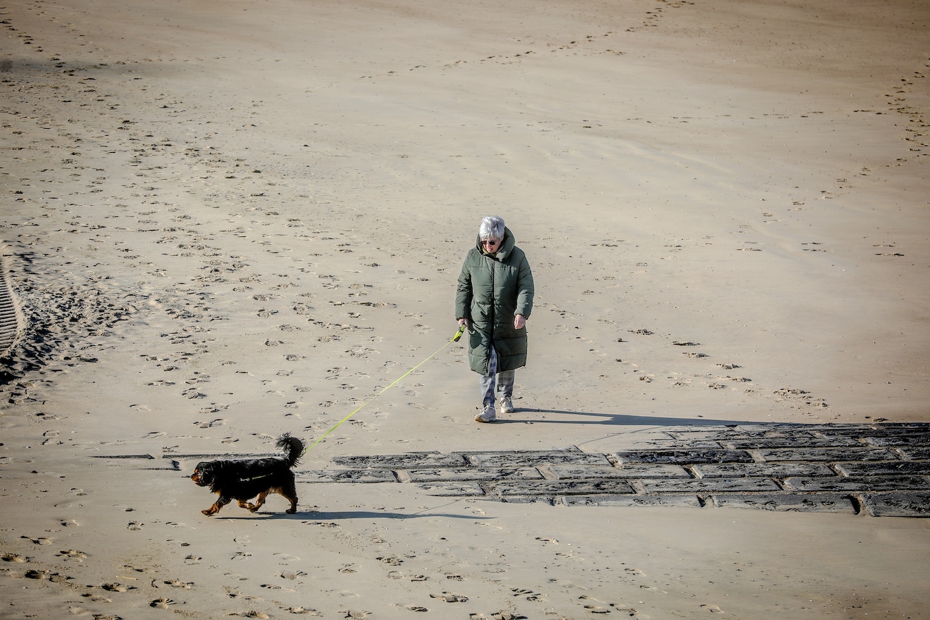 Op het strand wandelen met de hond: waar kan het, wanneer kan het en ...