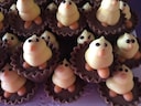 Van originele chocolade in Sint-Niklaas tot unieke taarten in Lokeren ...