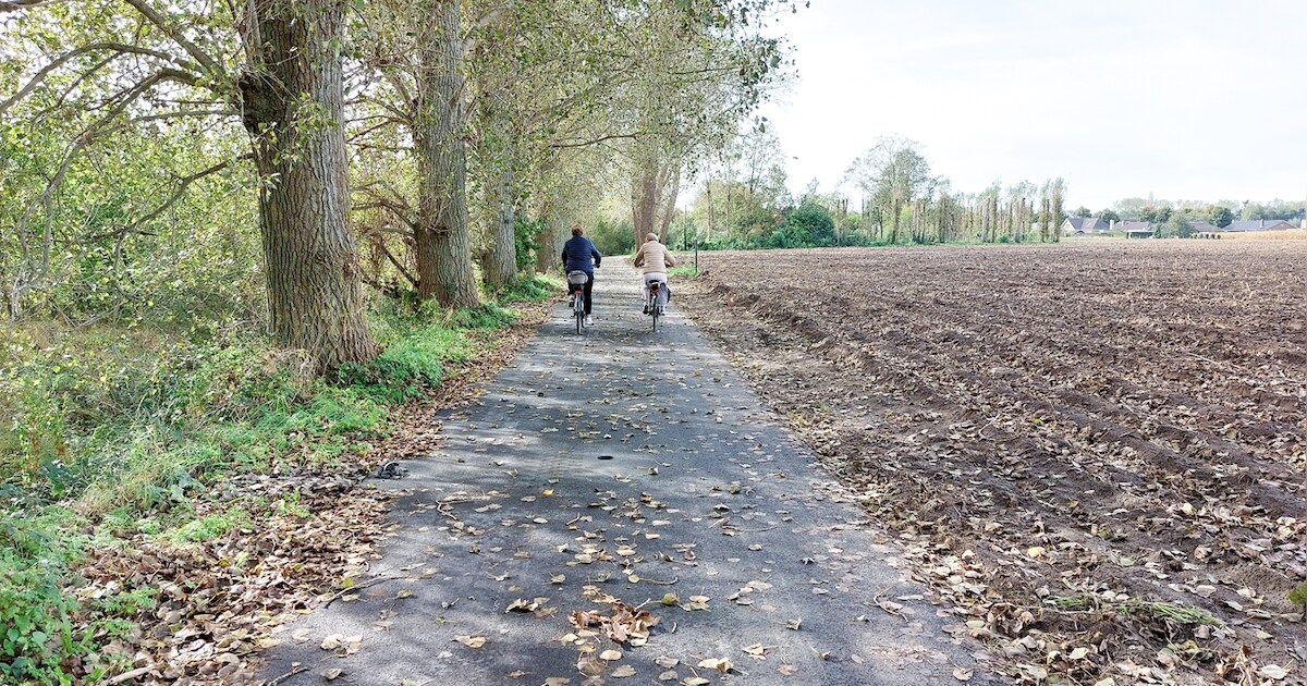 Fietsen tussen Aalter-Brug en Ursel: vernieuwd fietspad Woestijne ...