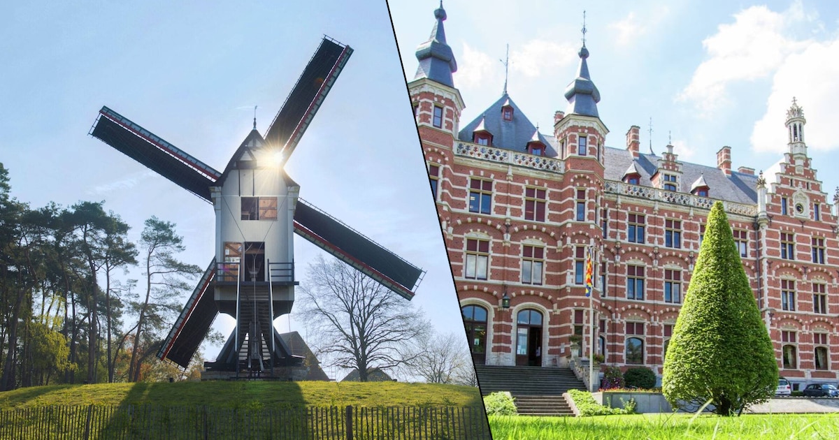 Ontdek de mooiste plekken in Westerlo met de zomerwandelingen 2024 ...