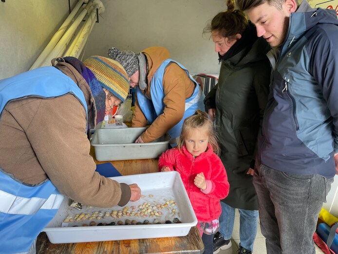 Ondanks felle wind toch heel wat deelnemers voor Grote Schelpenteldag ...