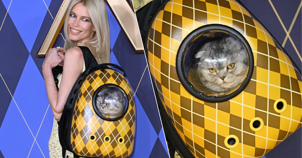 Claudia Schiffer beschuldigd van dierenmishandeling: “Katten hebben ...