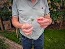 “Vakantie plannen we in november, voor de bloemen”: in de tuin van Yves ...