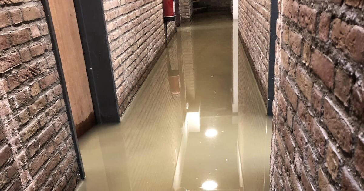 Hevige regen zorgt ook in Grimbergen voor ondergelopen kelders ...