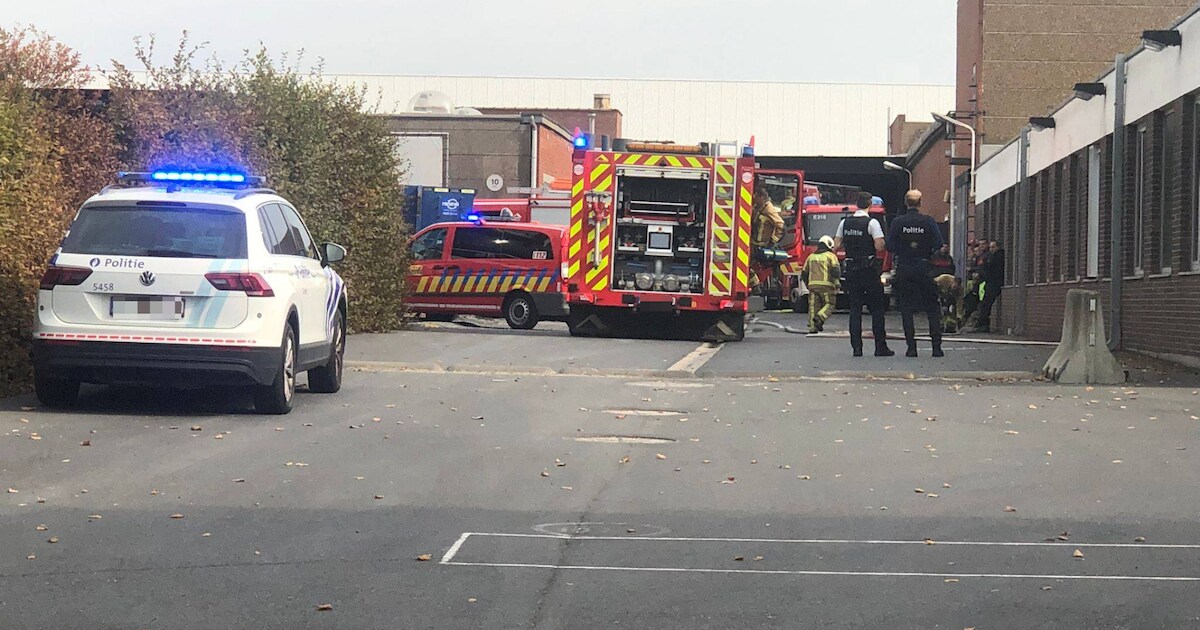 Rookontwikkeling bij kaderfabrikant in Deerlijk | Regio | HLN.be