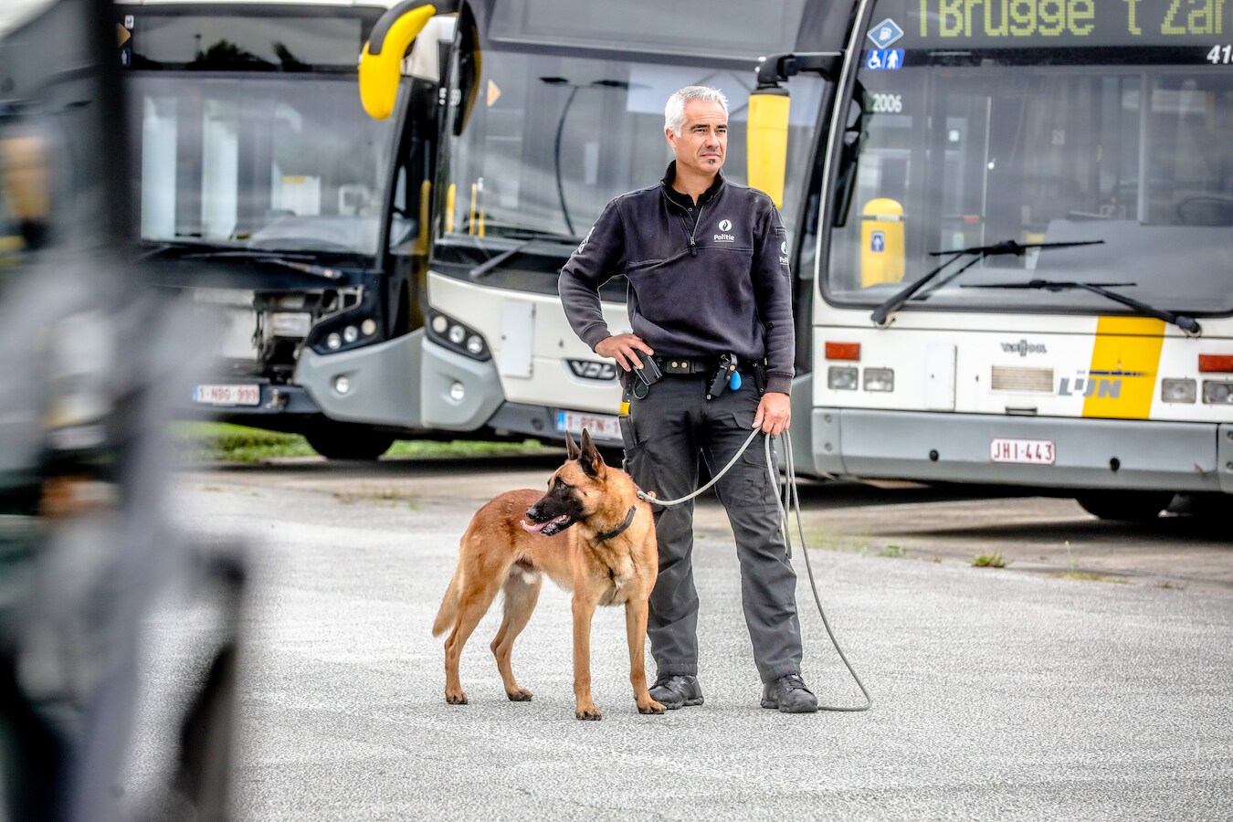 REPORTAGE. Op pad met de West-Vlaamse politiehonden: “Cash geld vinden ...