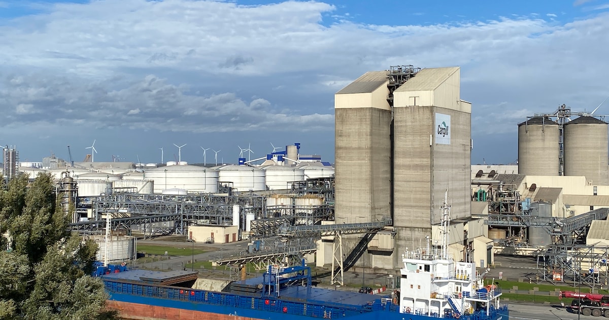 Gentse haven krijgt installatie die jaarlijks 140.000 ton CO2 zal ...