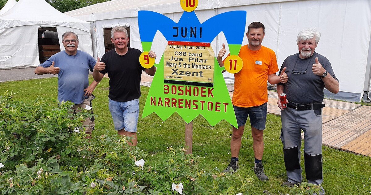 Dit weekend Boshoek Kermis en Narrenstoet: plaatselijke reuzen komen ...