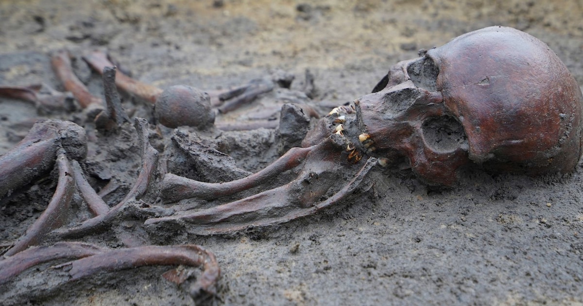 Vijftig skeletten uit Vikingtijd opgegraven in Denemarken: “Uitzonderlijk goed bewaard gebleven ...