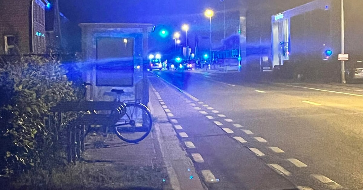 “De motor bleef in jullie voertuig hangen, en toch sloegen jullie op de vlucht”: neven voor ...