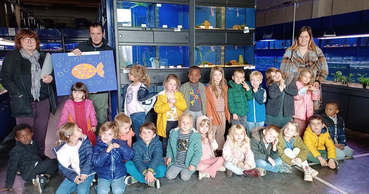 Kleuterklas De Vinnige Visjes op bezoek bij Aqua Valley | Herzele | HLN.be