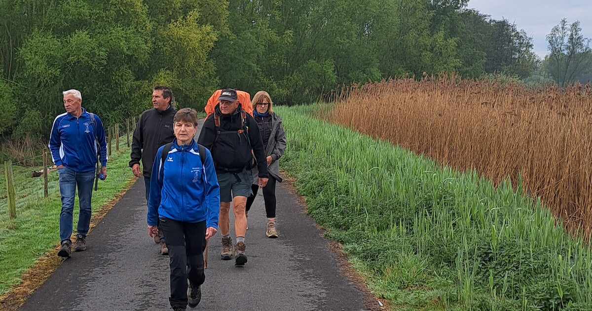 Wandelaar Leo Vercauteren (71) is op paasmaandag aangekomen in Wichelen ...