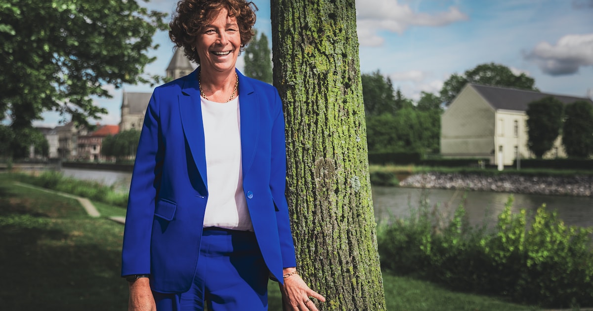 Waarom geen enkel Groen-kop­stuk de partij wil leiden, ook De Sutter ...