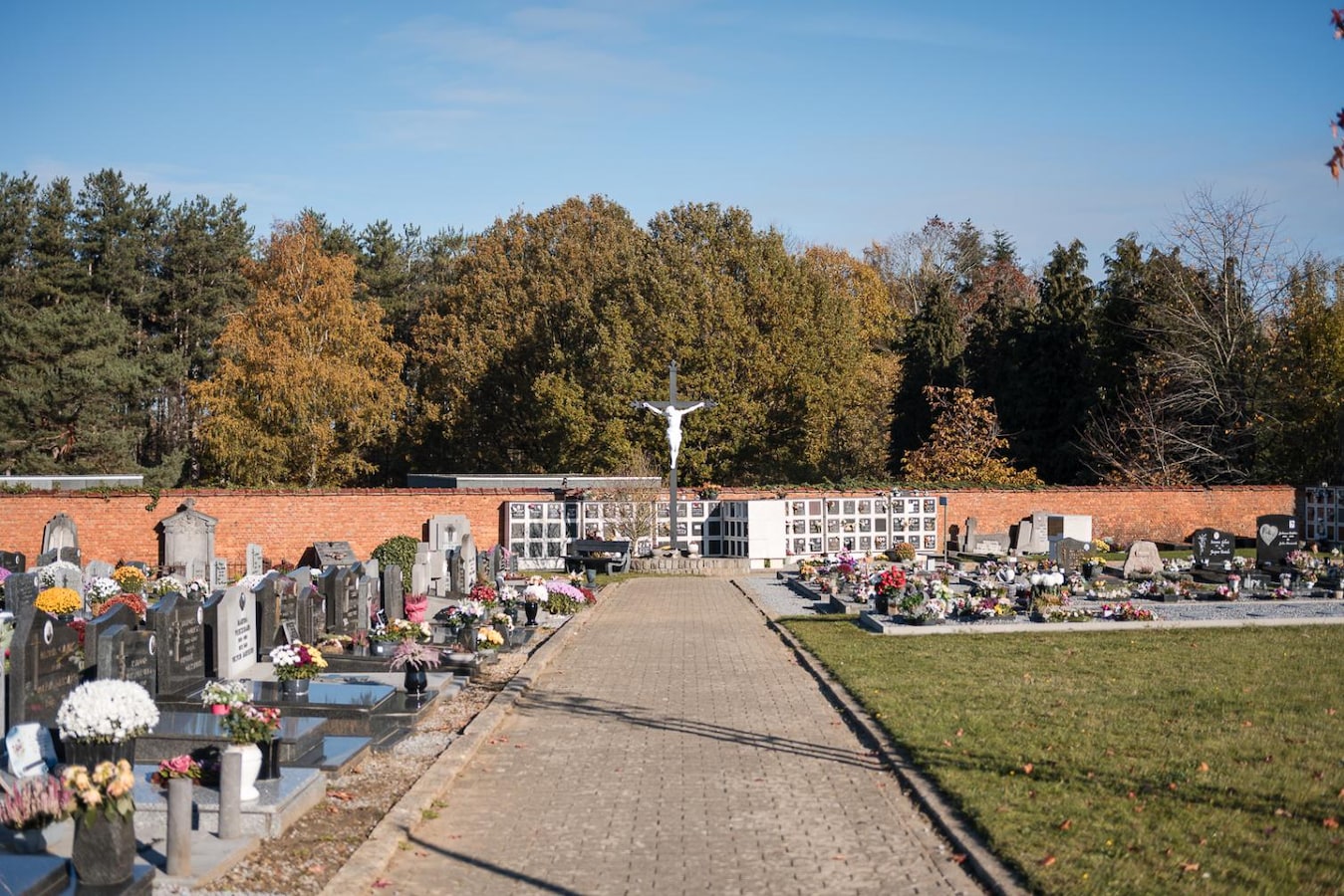 Meer dan 180 graven op begraafplaats Molenstede worden aangepakt ...