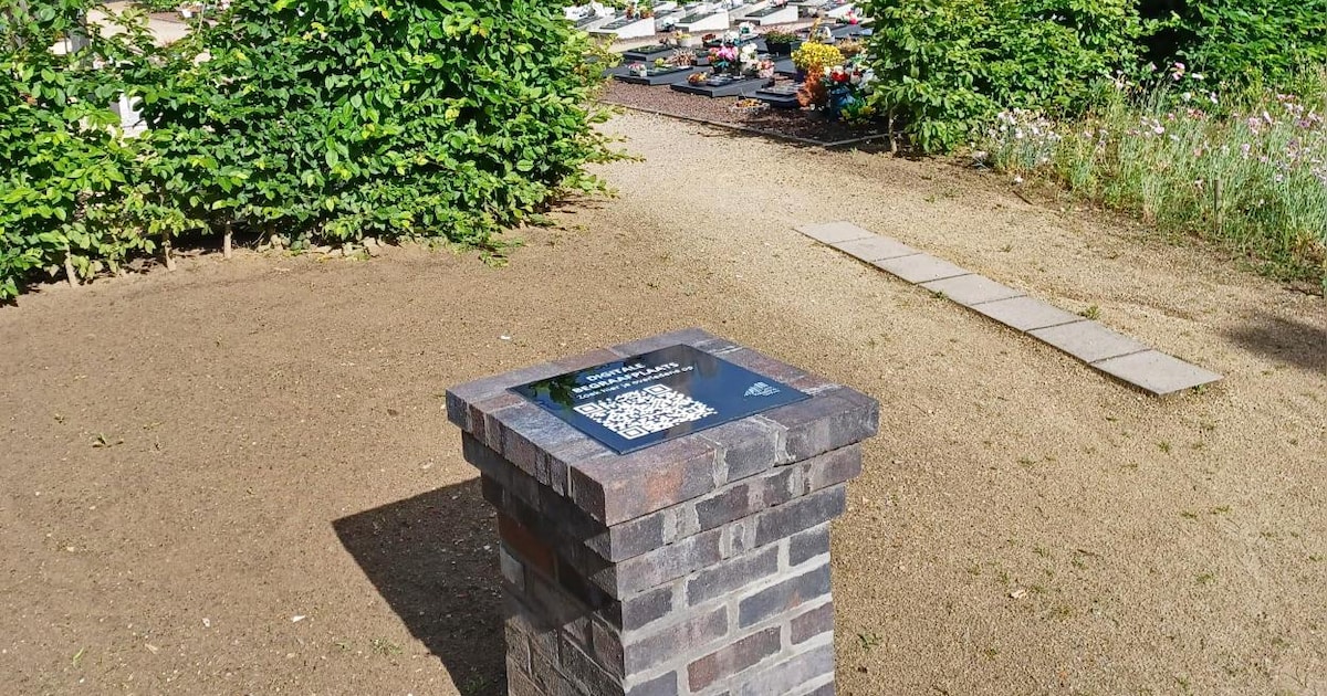 QR-codes op begraafplaatsen in Sint-Katelijne-Waver tonen exacte ...