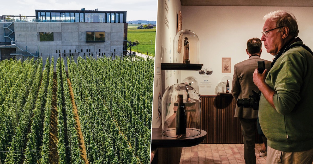 Brouwerij Sint-Bernardus zet vol in op toerisme met nieuwe Brewery Tour ...