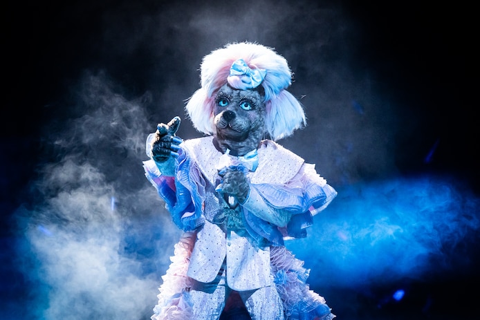 Labradoodle wint ‘The Masked Singer’: “Ik had dit nooit durven dromen ...