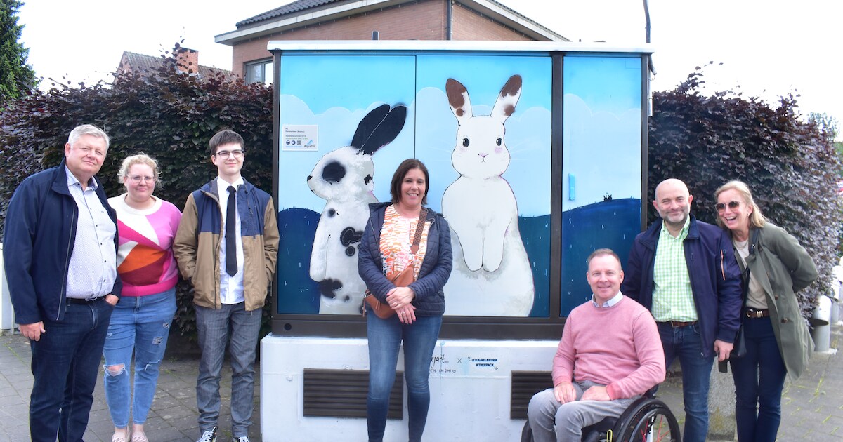 Ook elektrische nutskasten in Mollem krijgen verrassende ...