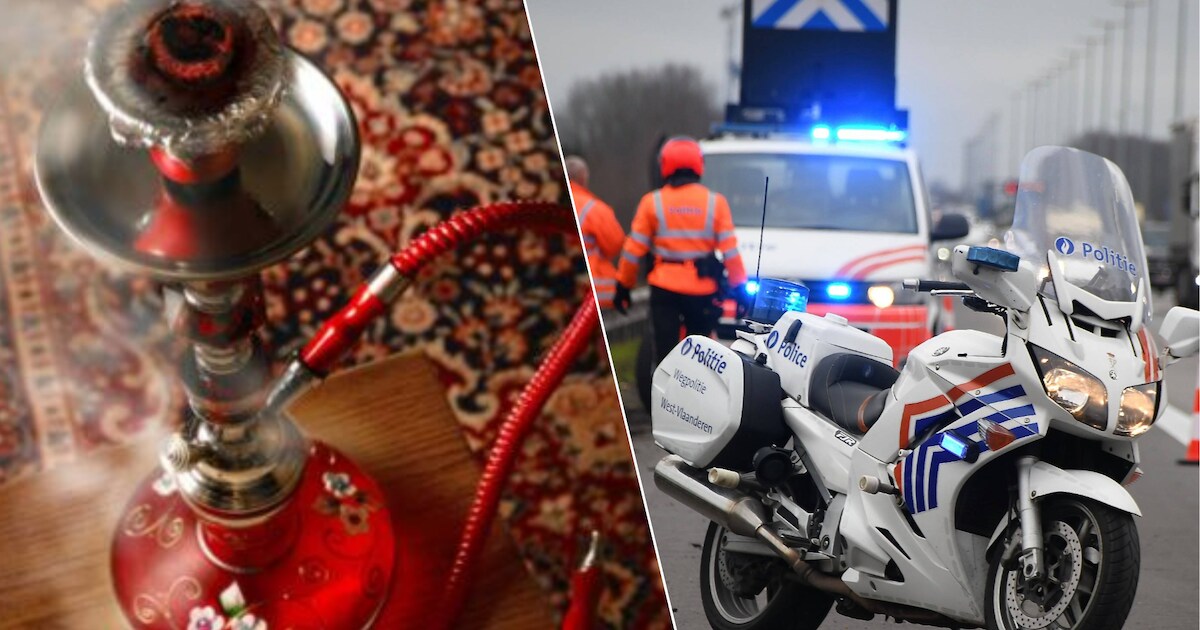 Tijdens grootschalige controleactie: bijna 400 kilogram illegale shisha ...