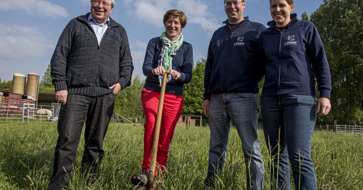 Verhard pad moet Silsomhof rolstoelvriendelijk maken | Kortenberg | hln.be