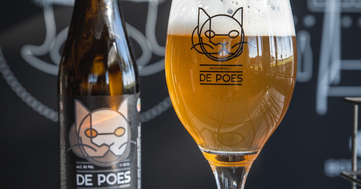 Brouwerij De Poes wint twee medailles in Frankfurt | Tielt | HLN.be