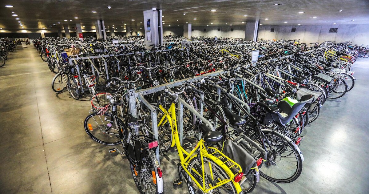"Ik drink nu nog acht halve liters bier per dag. Is dat veel volgens ...