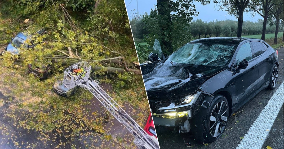 Van beschadigde auto’s tot gesneuvelde dranktent door storm Amy ...