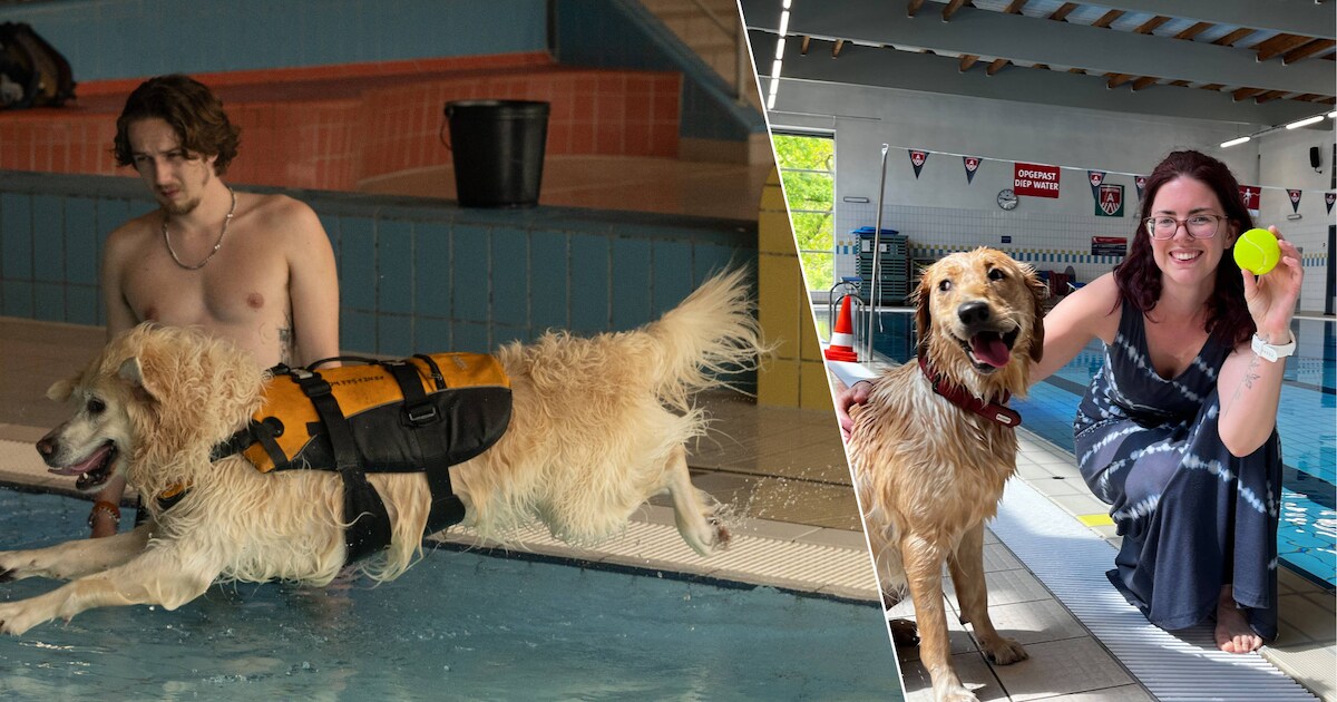 KIJK. Zwembad Merksem sluit de deuren... maar eerst mogen honden nog ...