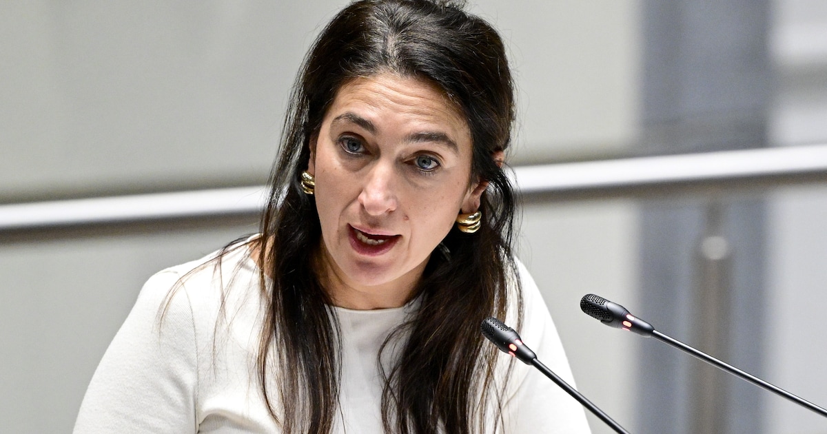 Steinerscholen naar Grondwettelijk Hof om nieuwe minimumdoelen Demir ...