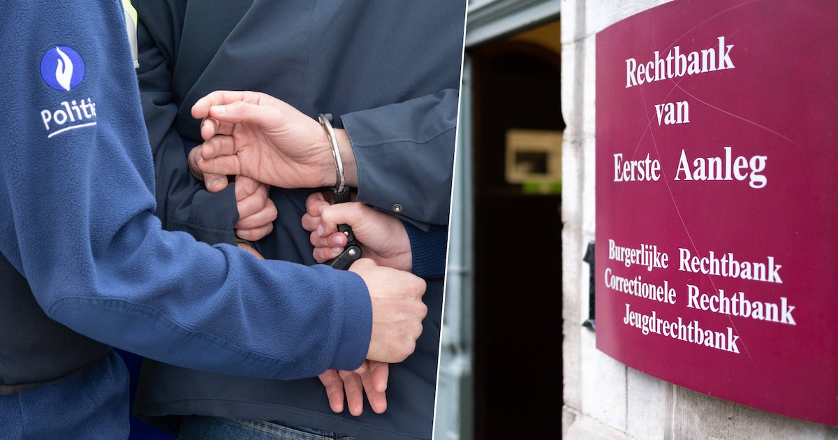 Man (32) uit Heist-op-den-Berg gaat door het lint bij arrestatie: “Hij ...