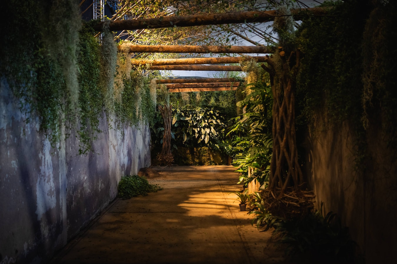Stand van 1.200 m² op Floraliën houdt bezoekers spiegel voor: “Mens kan ...