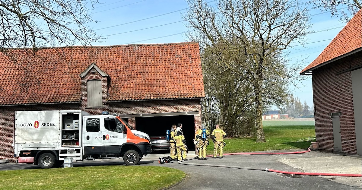 13-tal stuks oorlogsmunitie door bewoner in Lendelede gevonden ...