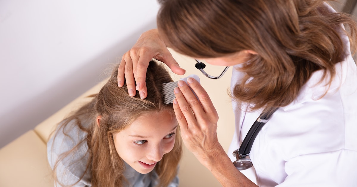 Zo krijg je luizen echt weg (en zo kom je er aan) | Medisch advies | HLN.be