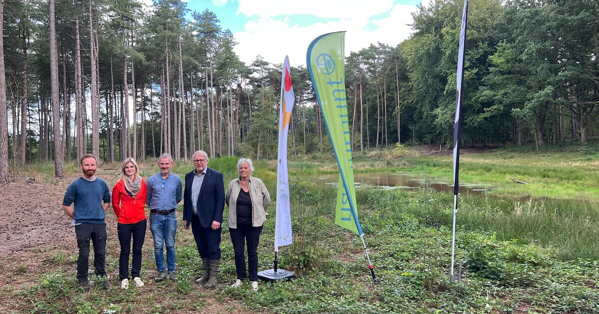 Provincie en Natuurpunt herstellen natuur op Lazarijberg en in ...