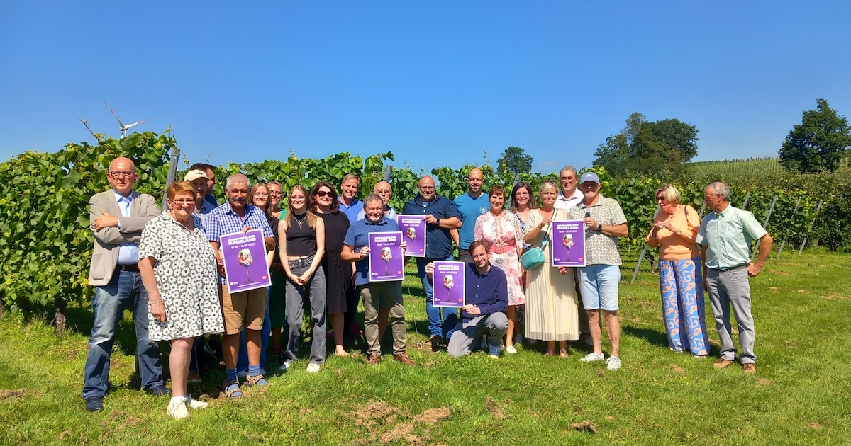 Vier weekends boordevol Hagelandse wijn tijdens Sprankelend Hageland ...