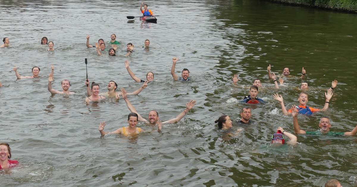 Als bekende Deinzenaar in het water springen, levert prijs op tijdens ...