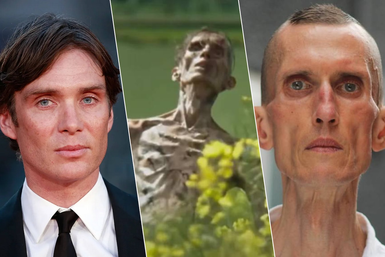 Cillian Murphy dan toch niet als zombie in nieuwe film, échte acteur ...