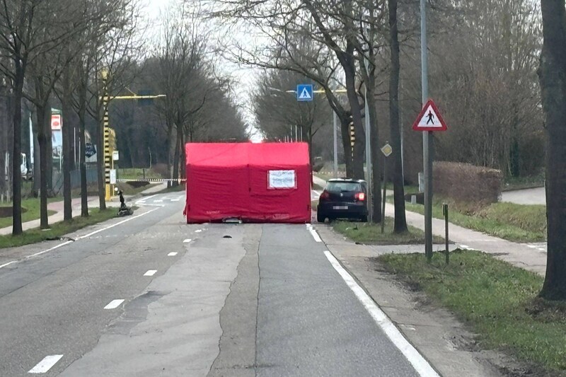 Vrouw (81) op scootmobiel sterft na aanrijding in Turnhout: bestuurder ...