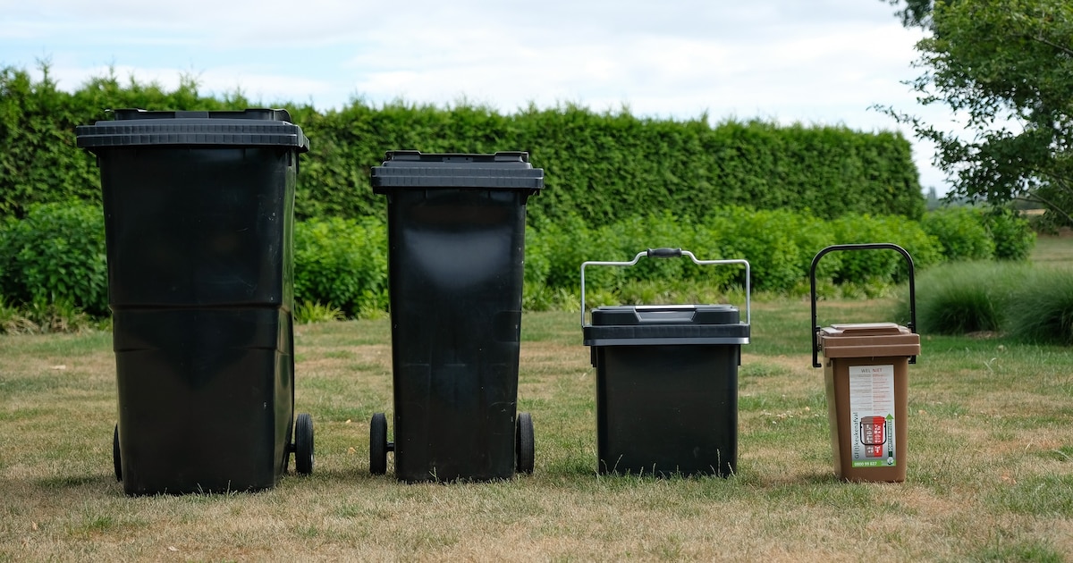 Infomoment Imog bekijken vanuit je zetel thuis? Dat kan dankzij stad ...