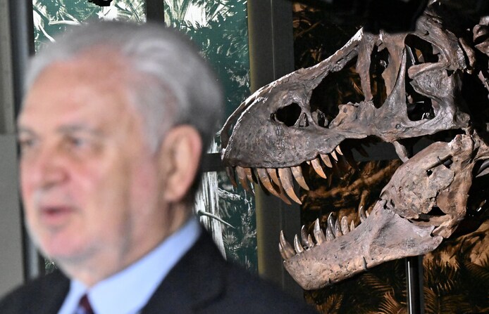 Tyrannosaurus rex wordt dé ster van Boerentoren, maar eerst verbaast pronkstuk van Fernand Huts ...