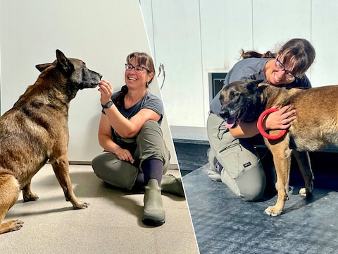 Dex wacht al maanden op nieuw baasje in Zwevegem, nadat hij werd ...