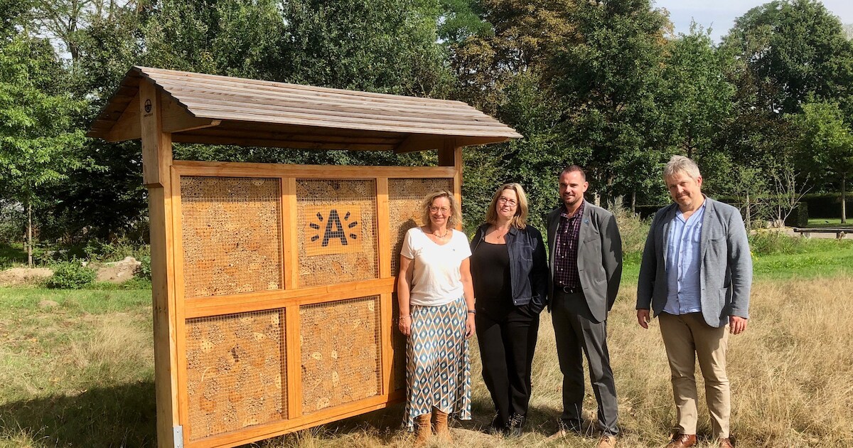 Begraafplaats Driehoek heeft nu ook bijenhotel: “Reputatie van ...
