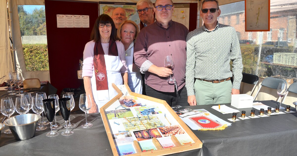 Commanderij Bellebeek houdt tweede ‘Wijnronde’ langs lokale handelaars ...