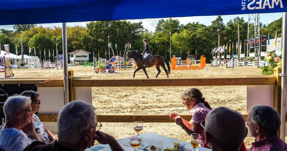 Jumping Zandhoven biedt opnieuw paardensport en gezelligheid | Regio ...