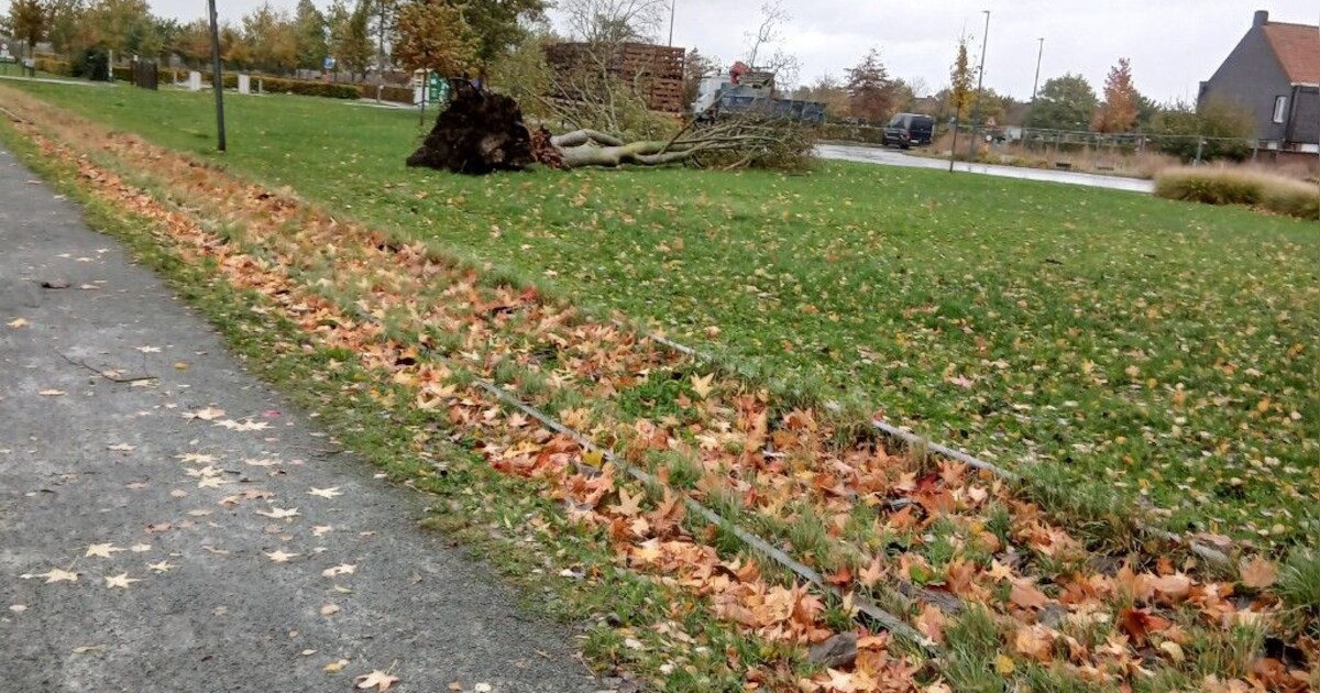 Schade storm Benjamin blijft beperkt in Zuid-West-Vlaanderen: “Aan ...