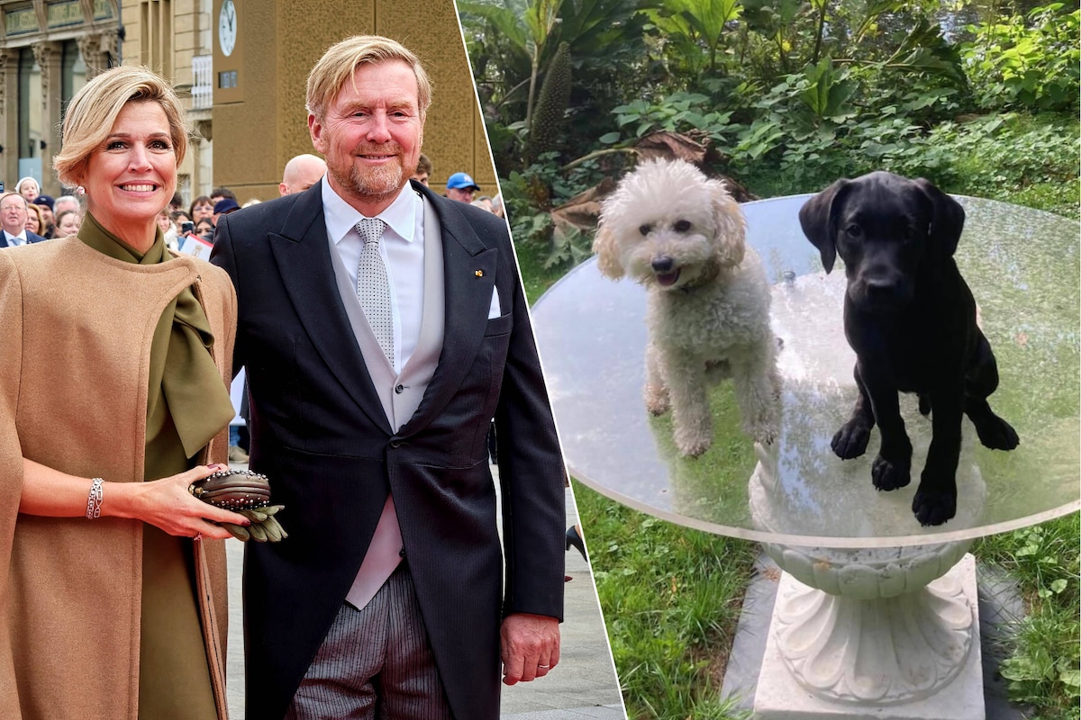 Koning Willem-Alexander en Máxima stellen nieuw huisdier voor ...