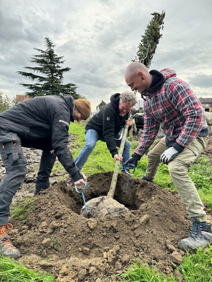 Aanplant 300 bomen luidt plantseizoen in: “Op het eind hopen we 75.000 ...